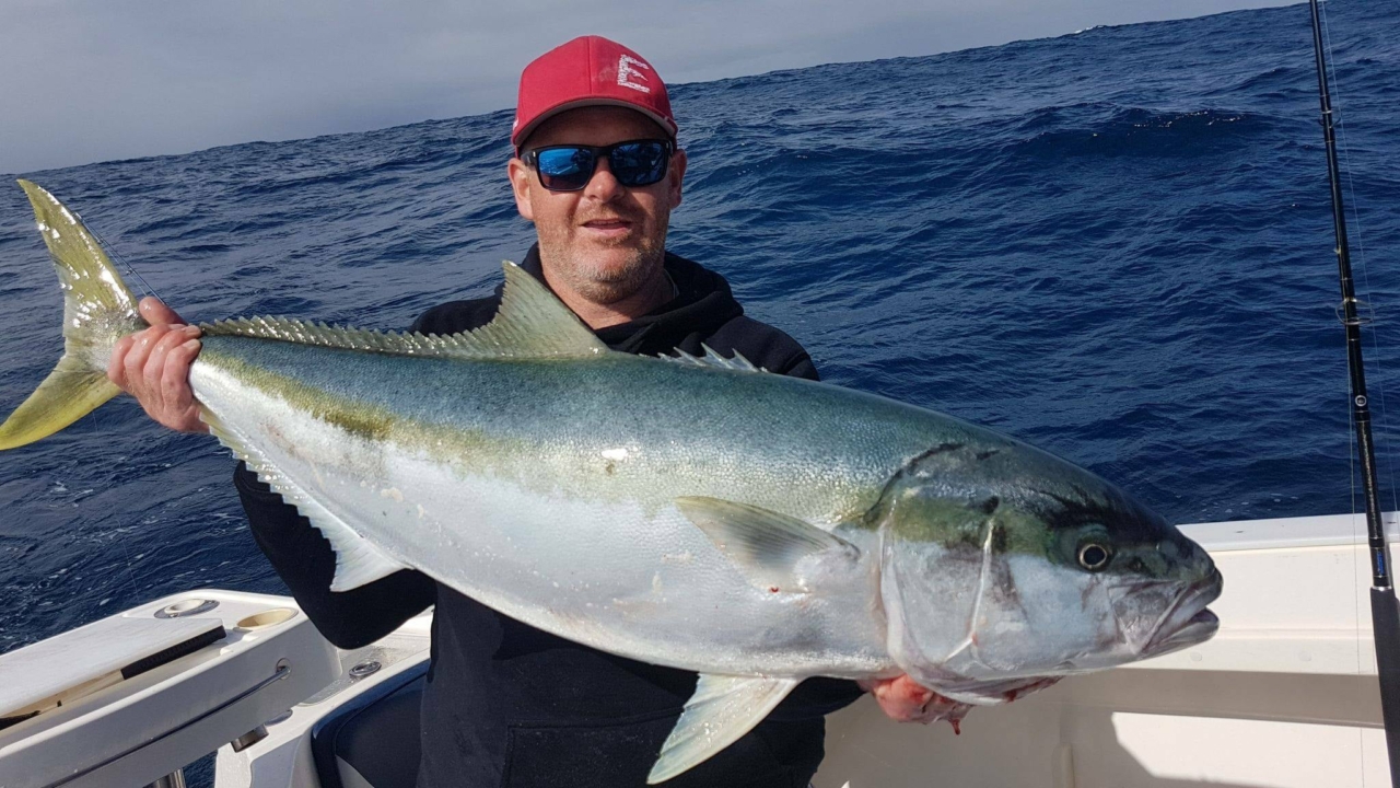 Topwater Yellowtail Kings - The Ebb Tide Guide to Kingfish!