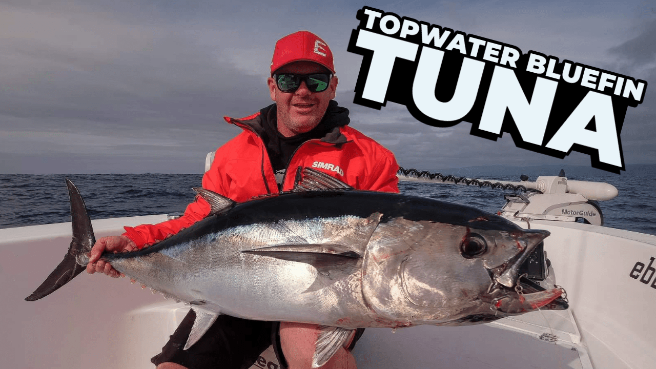 Topwater Southern Bluefin Tuna - The Ebb Tide Guide