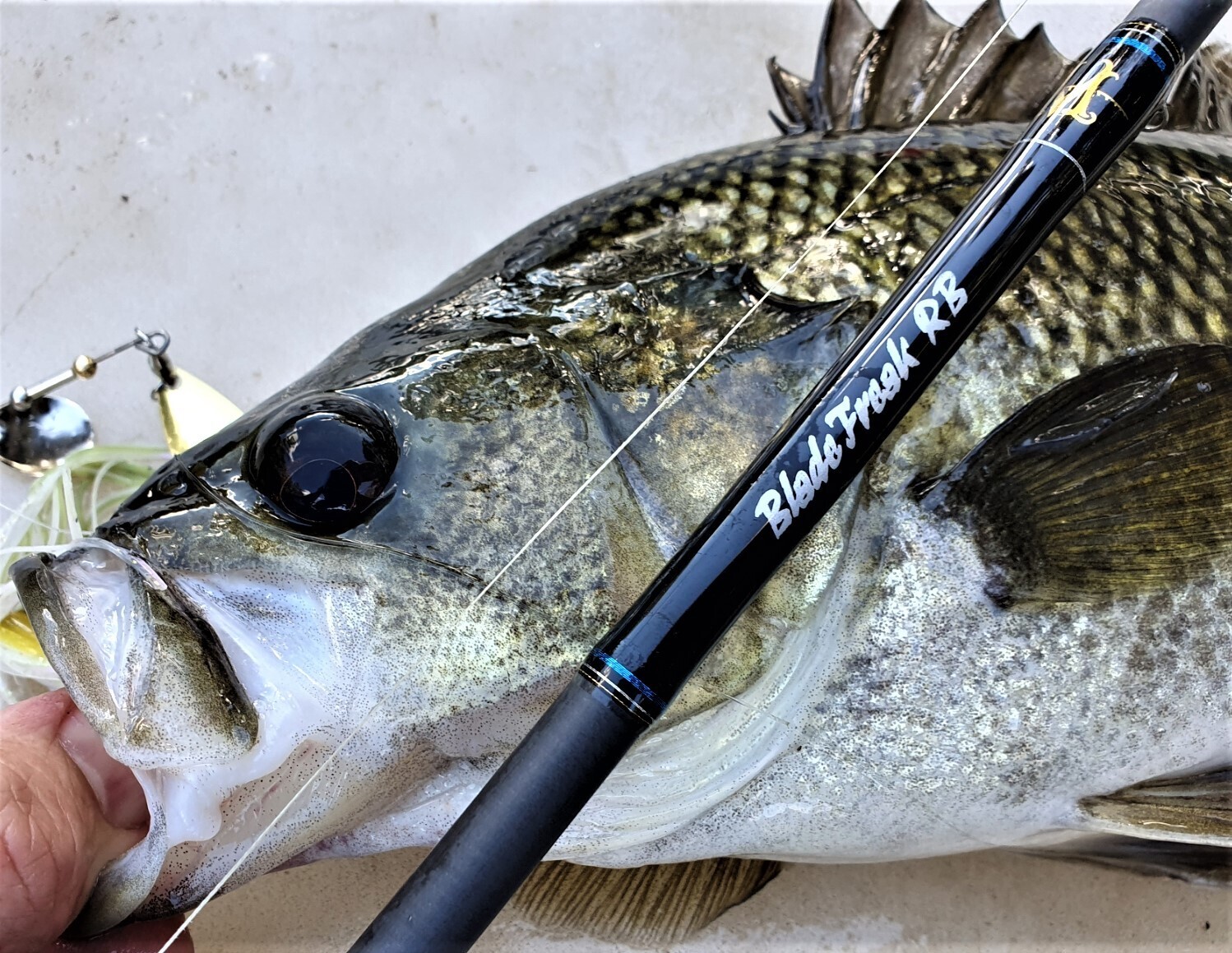 Millerods RB BladeFreaK 661 Rod