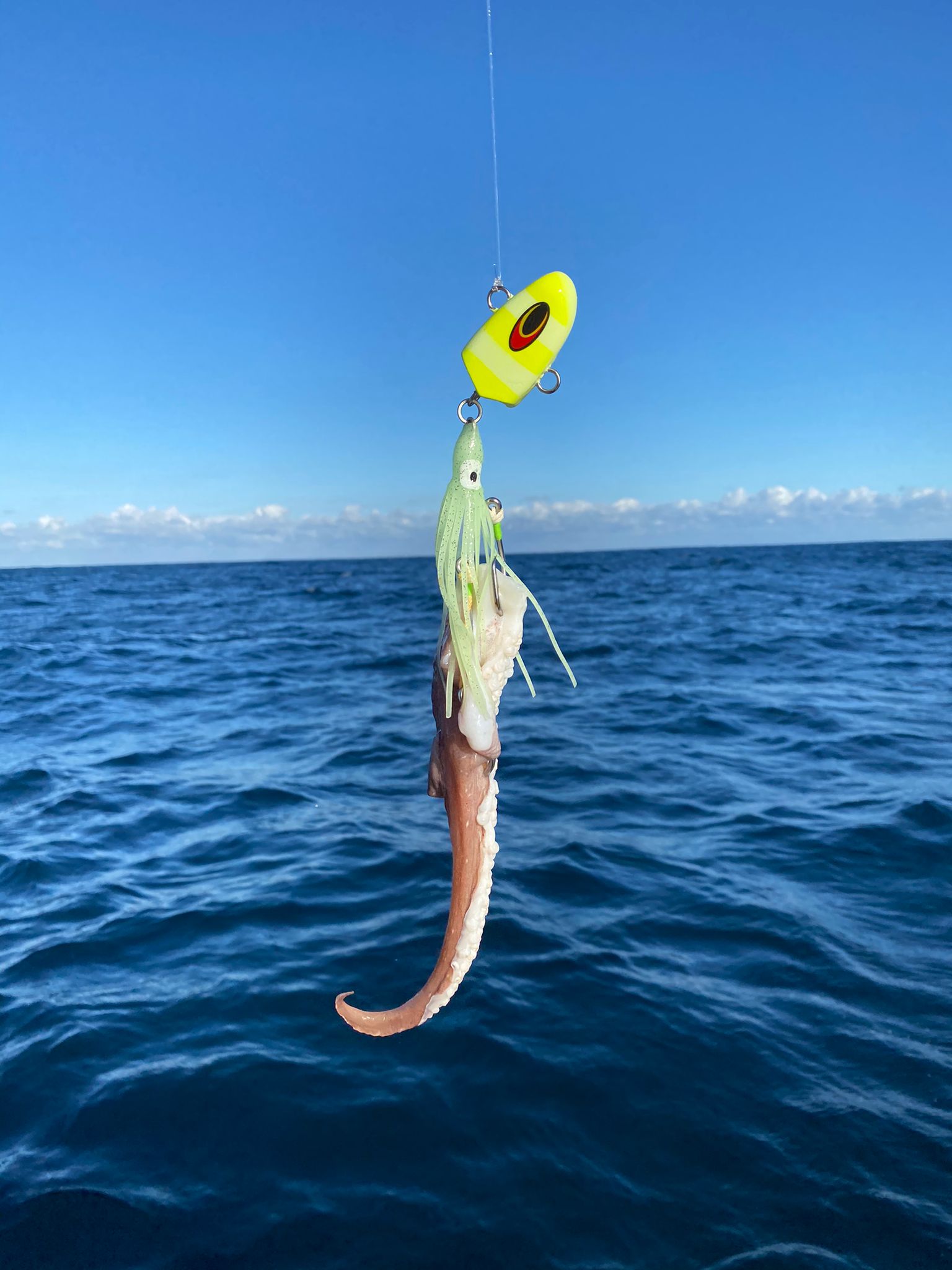 Vexed Bottom Meat 40g