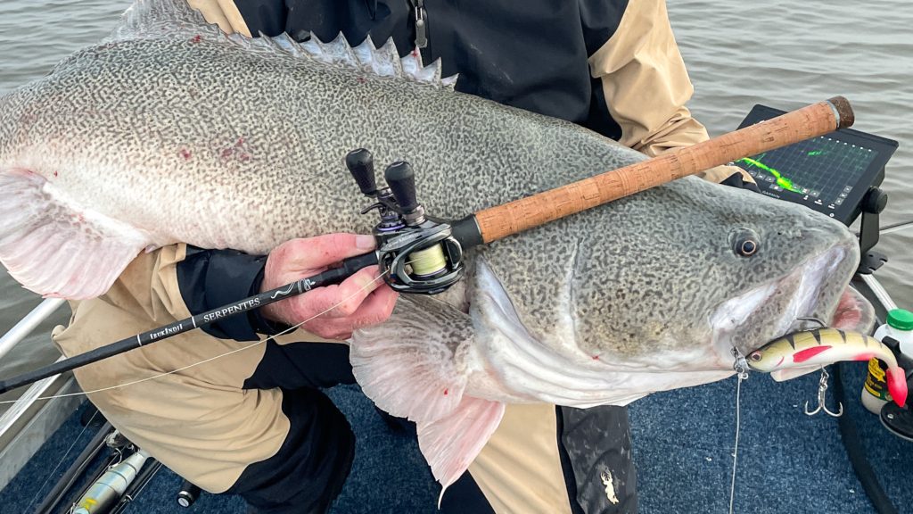 Murray Cod Mania: Why This Native Fish is a Winter Angler's Dream