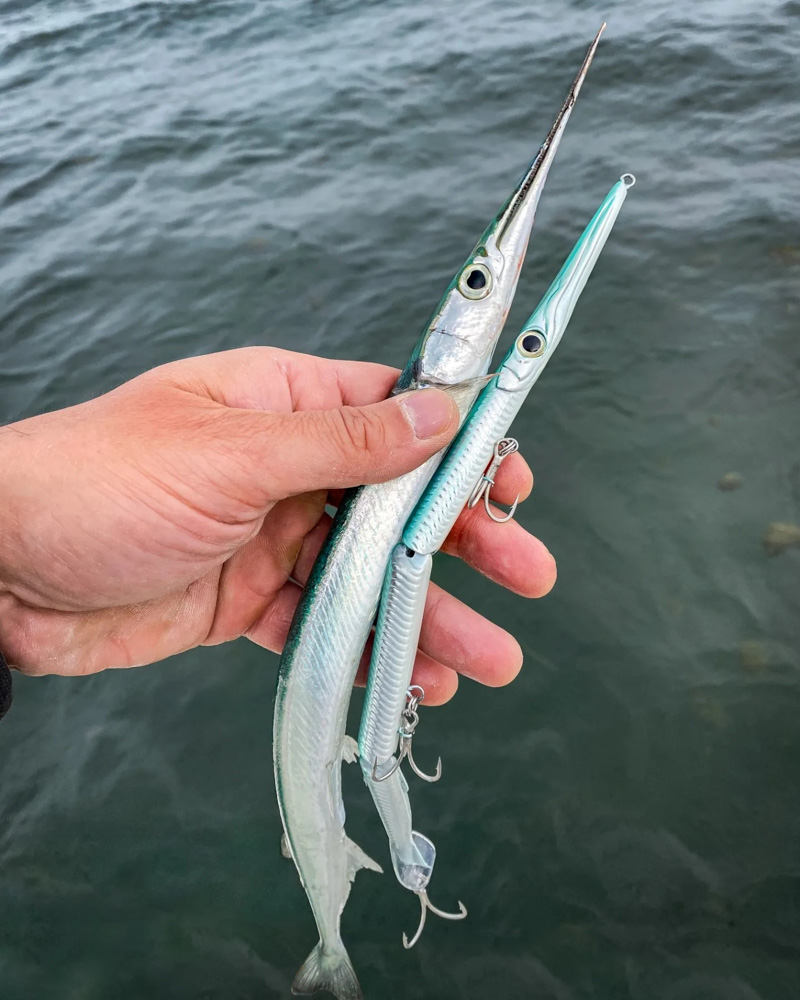 Jack Fin Stylo Jointed 255