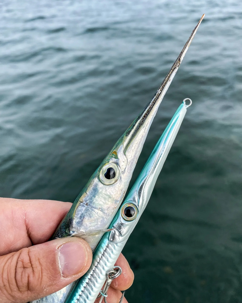 Jack Fin Stylo Jointed 255