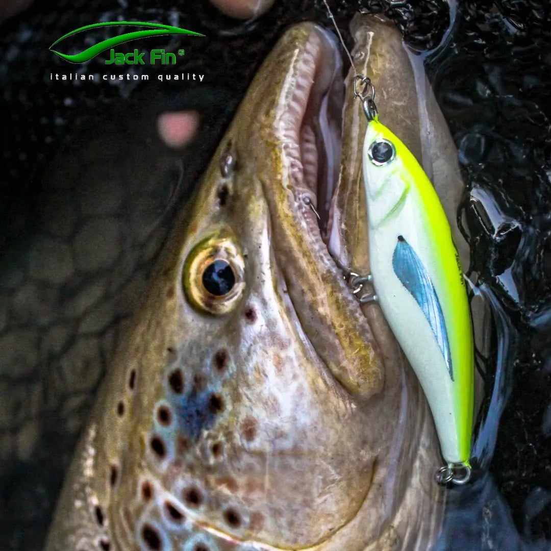 Jack Fin Pelagus 75-S