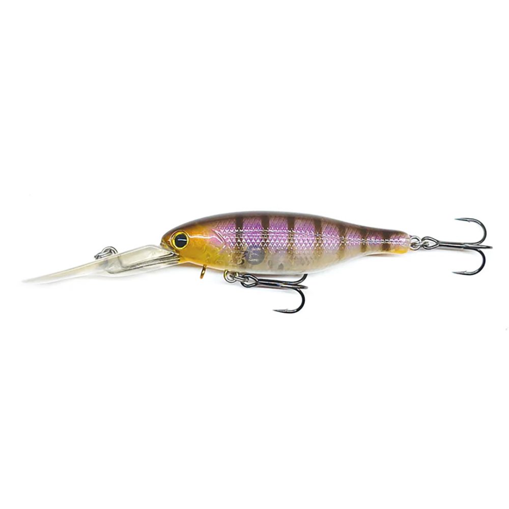 Barambah Boondi Bros 62DSS